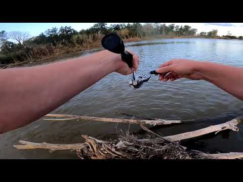 Trying out some of @Windsor Bait And Tackle tips and tricks - YouTube