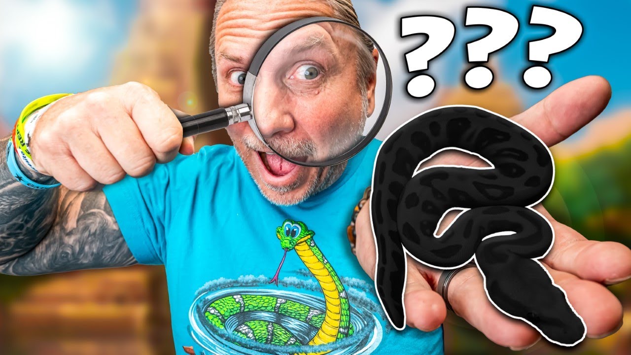 Mystery Snake Solved! - YouTube