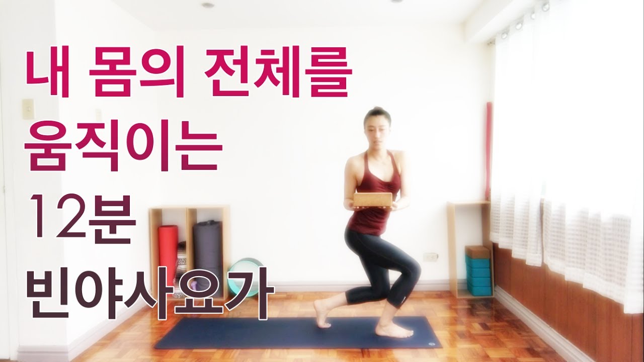 [EVA YOGA]내 몸의 전체를 움직이는 12분 빈야사요가 - YouTube