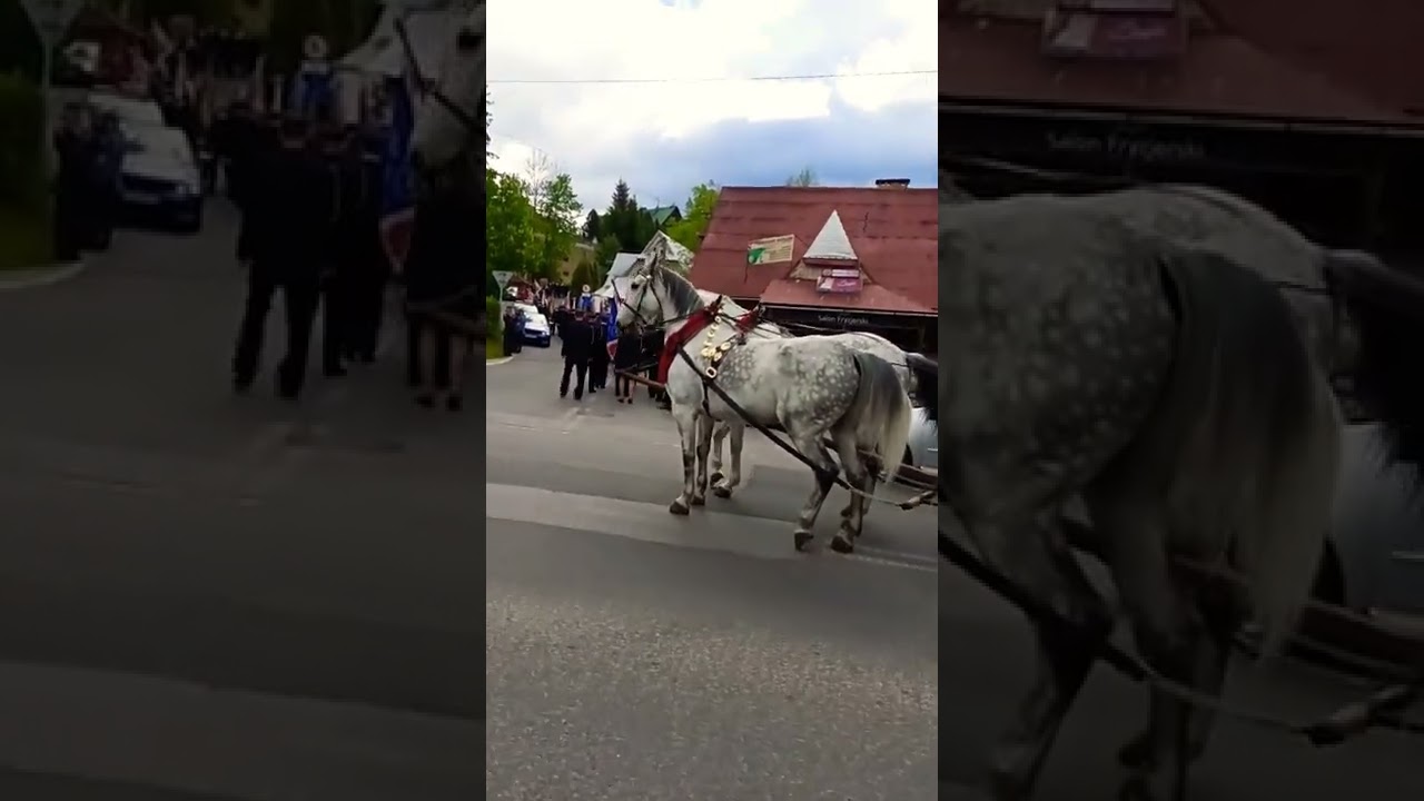 Petrang Kabayo - YouTube