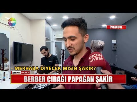 Berber çırağı Papağan Şakir