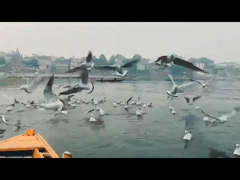 varanasi ghat whats app status