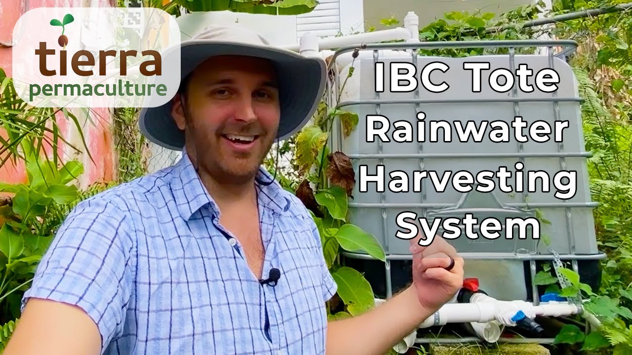 IBC Rainwater Tank - Rainwater Catchment System Walkthrough - YouTube