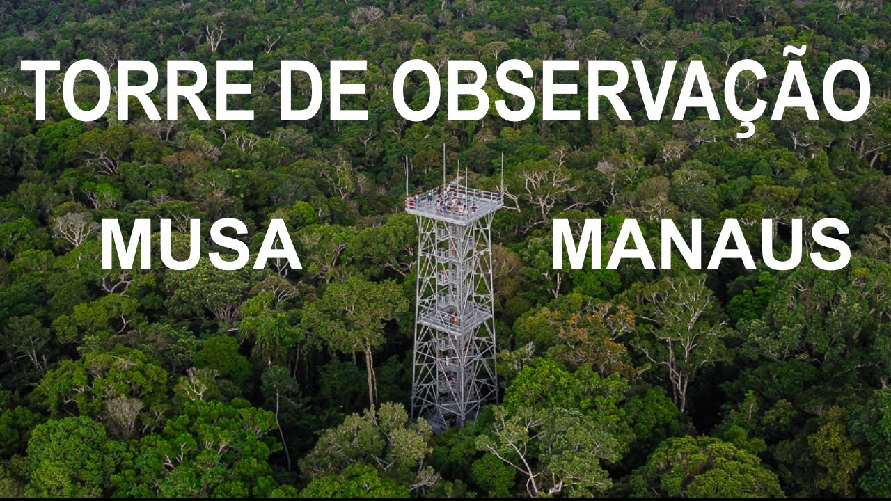 Torre de Observação do Musa | Manaus - Amazonas | Amazônia Brasileira ...