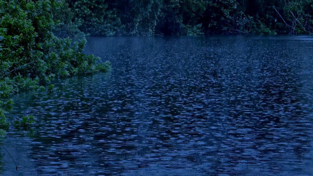 Beat Tinnitus with Heavy Rain on Lake, Calm Thunder in Deep Forest ...