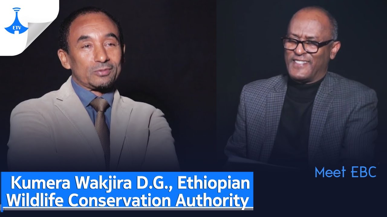 Meet EBC with Kumera Wakjira D.G., Ethiopian Wildlife Conservation ...