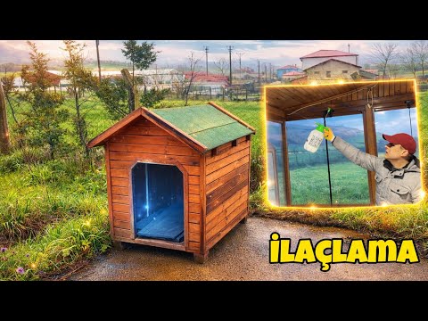 Zeynanın Kulübesini Getirdik 🐕‍🦺 Temizlik Bitiyor 🧼 Böcek İlaçlama 🪳 Bayram Çiftlik Vlog 