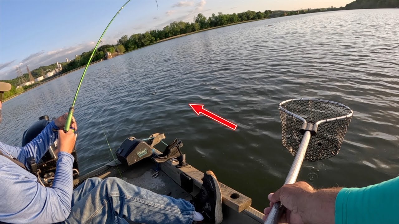 This SIMPLE Shellcracker Technique Will LOAD Your Cooler EVERYTIME ...