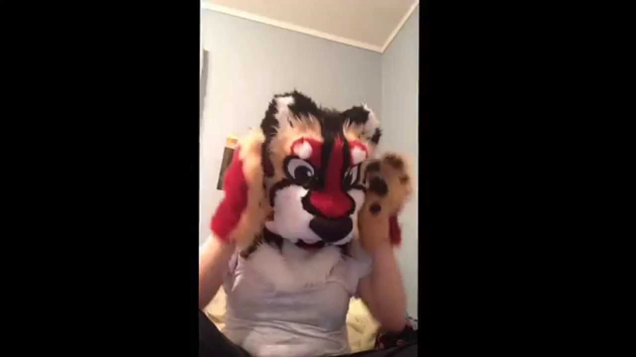 New Sabertooth Fursuit - YouTube