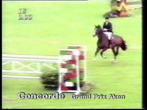 OLYMPIC CONCORDE (KWPN BREEDING STALLION) - YouTube