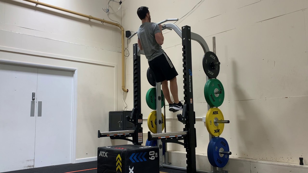 Bat Exercise Series - Flexing Bat (Vertical) - YouTube