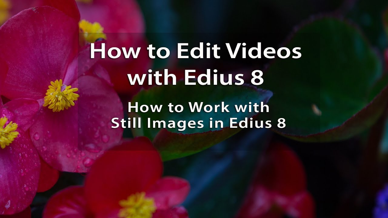 Edius 8 Tutorials - Lesson 9: How to Work with Still Images in Edius ...