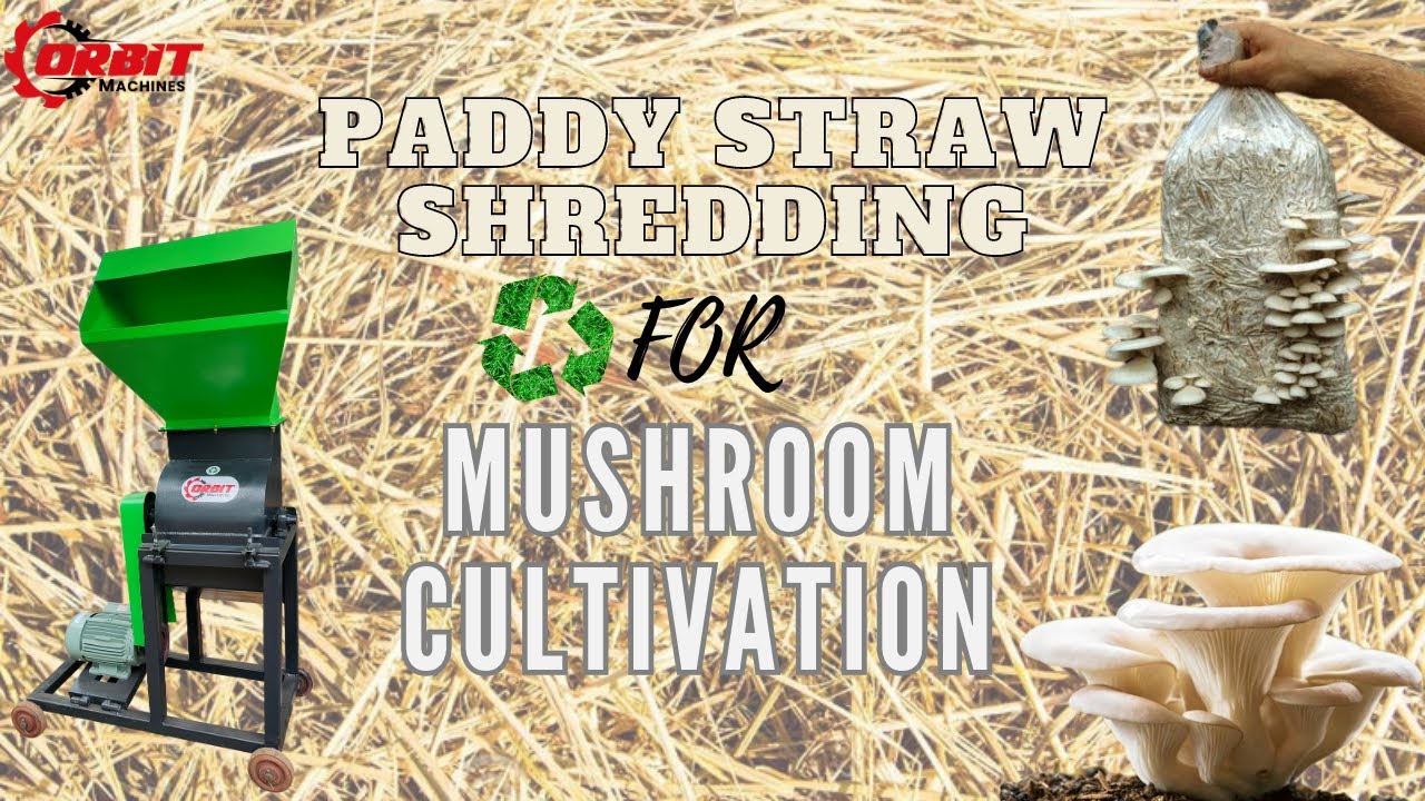 Paddy Straw Shredder For Mushroom Cultivation - YouTube
