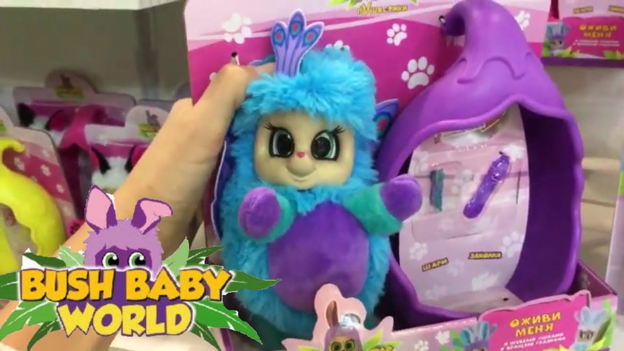 Bush baby world // пУшастики // шевелят глазками !😱 - YouTube
