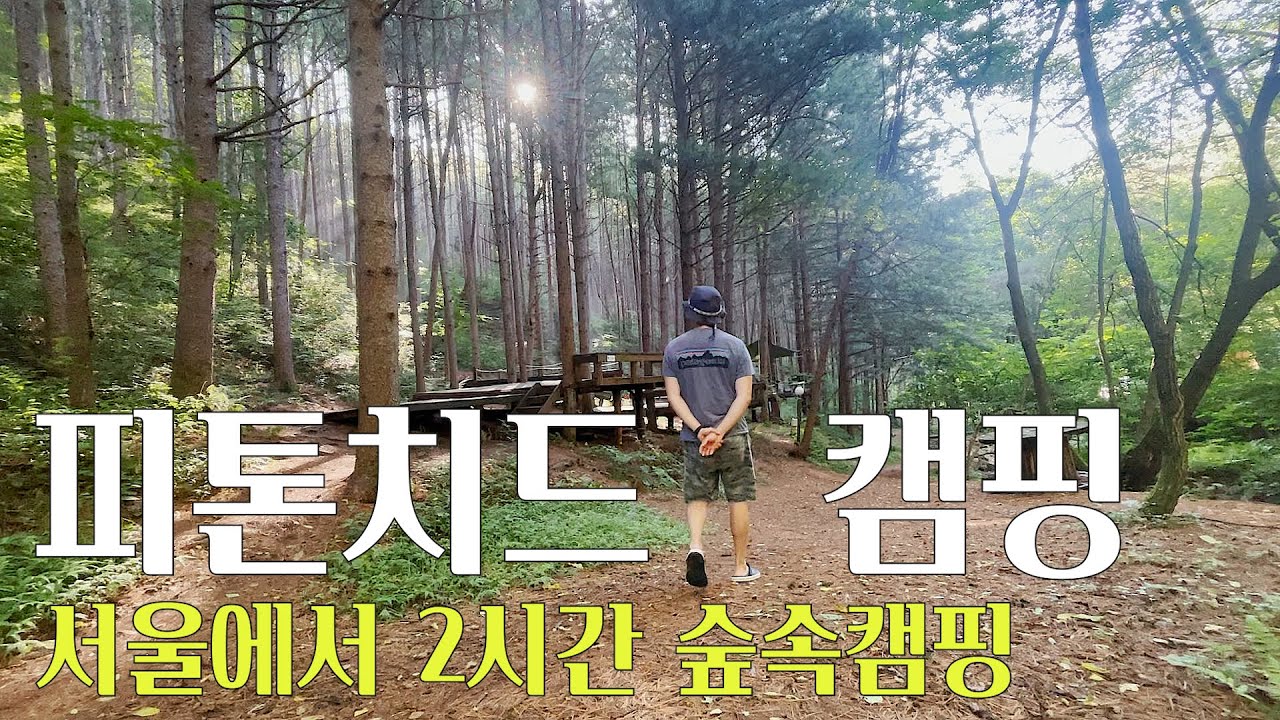 잘 살아내기를 바란다 진심으로 ㅣ자발적고립 ㅣ숲속캠핑ㅣSolo camping ㅣ인제하늘그린캠핑장 ㅣ K Camping - YouTube