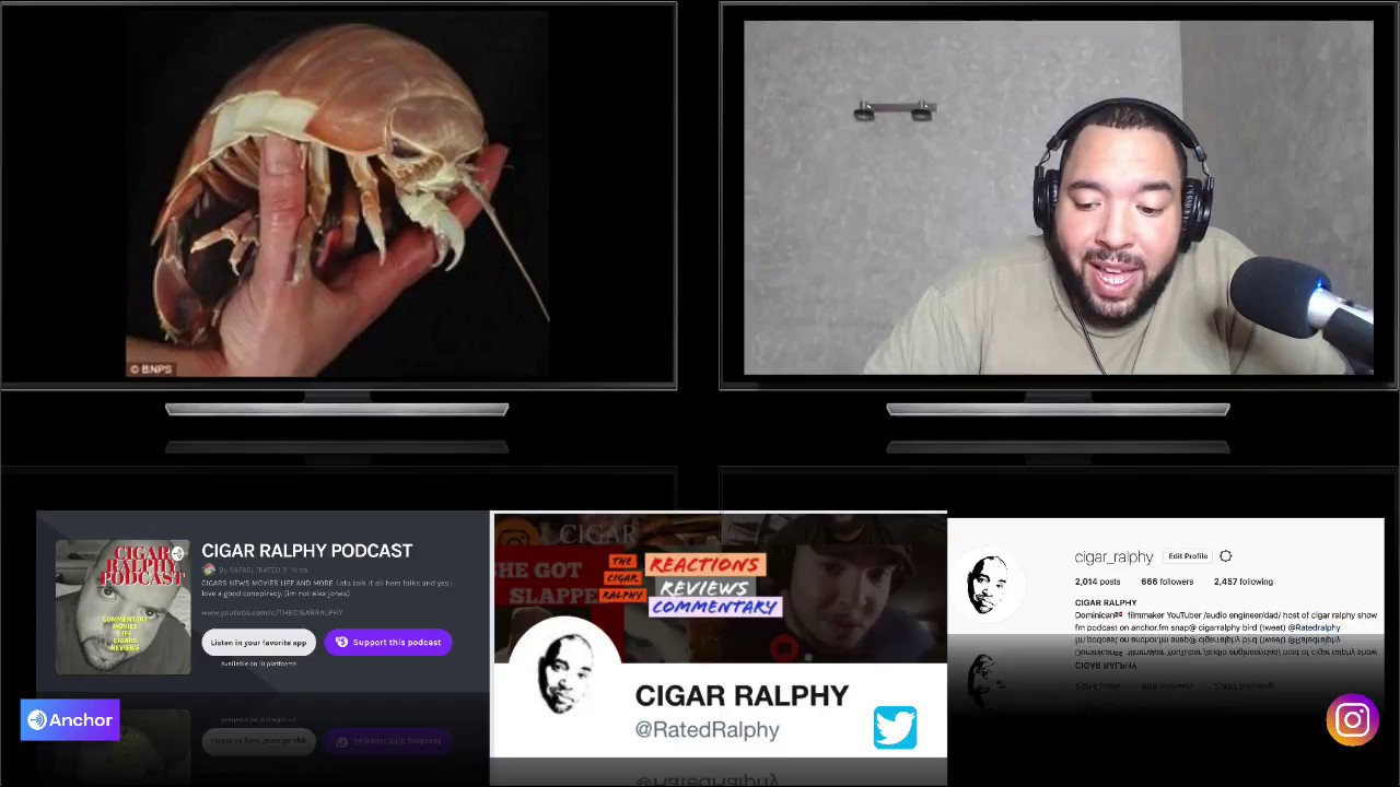 GRAPHIC: Real Live Isopod Hour | Cut, Clean, Cook [reaction] Cigar ...