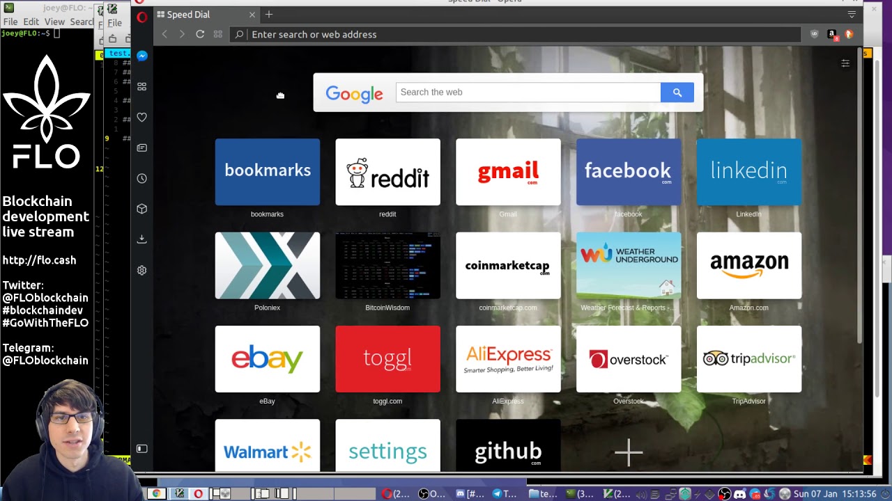 [BLOCKCHAIN] [FLO] programming - YouTube