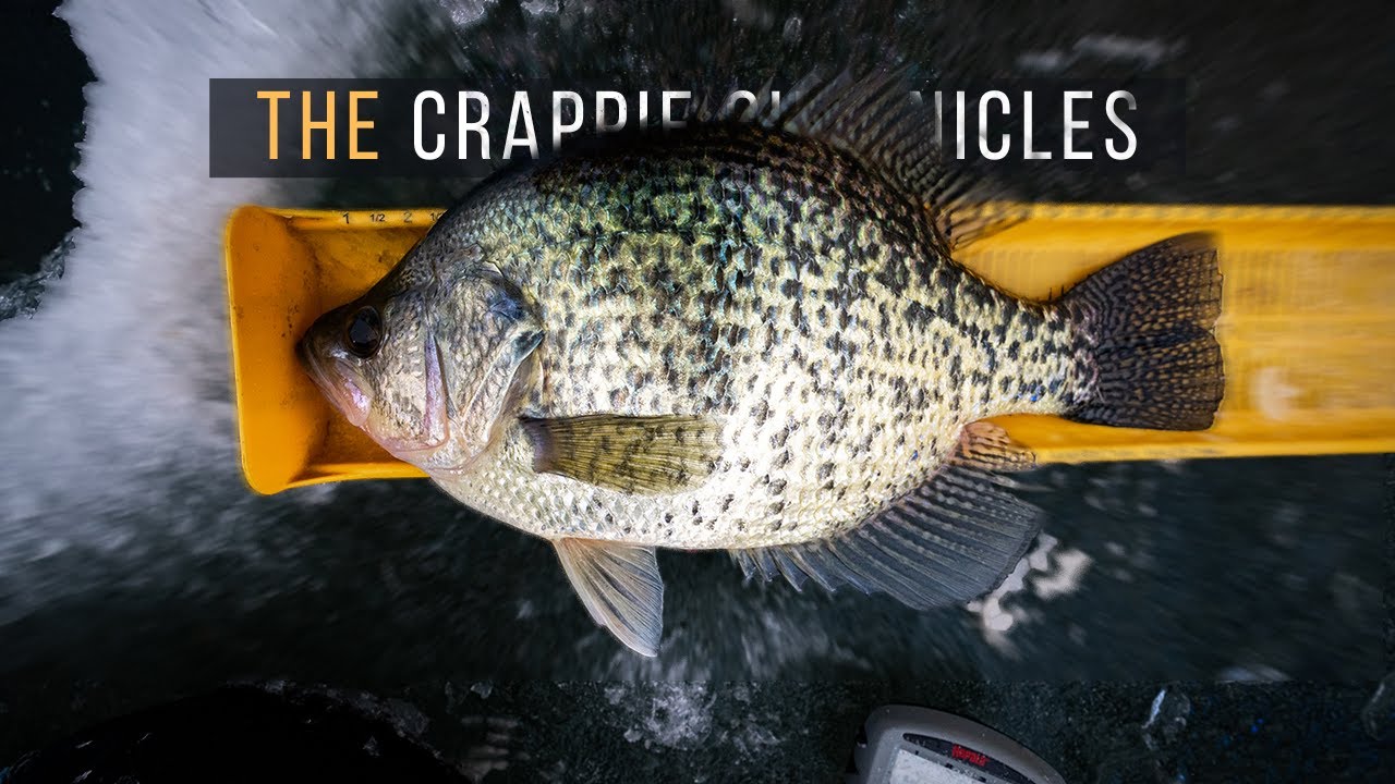 Catching a 3.5 LB Crappie ICE FISHING [Biggest EVER] - The Crappie ...
