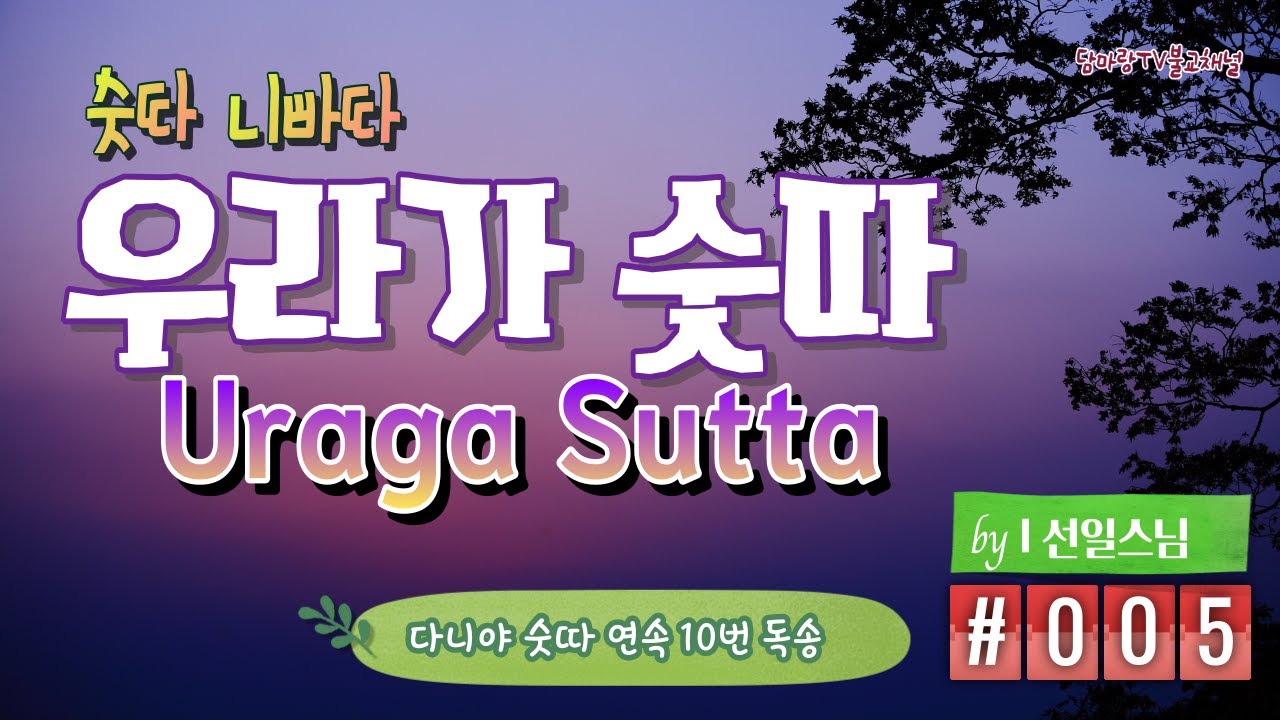 [Suttanipata] 숫따니빠따 Suttanipāta 우라가 숫따(뱀경) 10회 독송 Uraga Sutta chanting ...