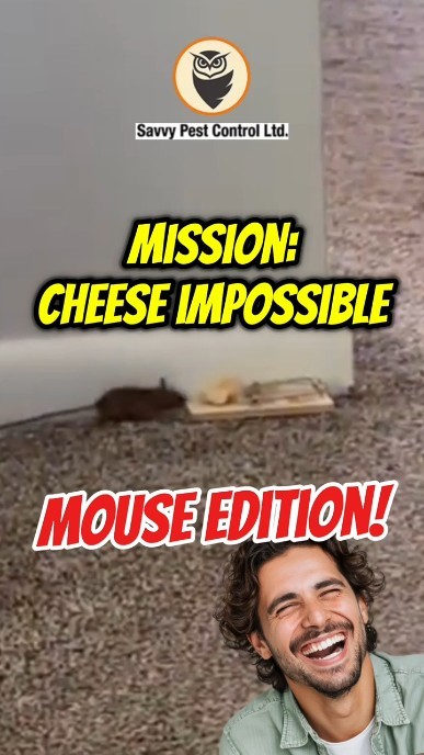 🐭🤯 Crazy Mouse Move! | Getting Rid of Mice | Edmonton Pest Control ...