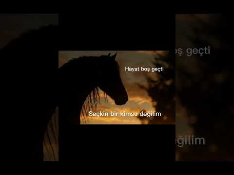 Sultan Şiiri | Cahit Zarifoğlu | Eser Gökay Yorumu İle