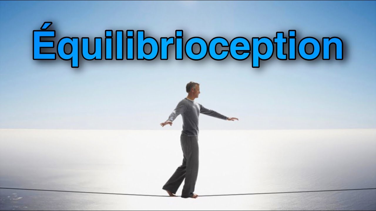 🤸‍♂️ Équilibrioception - YouTube