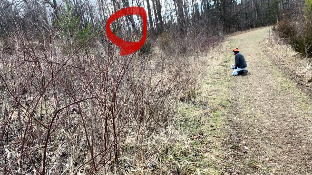 They Let Him Know He's Gotten Close Enough And When You Hear What He ...