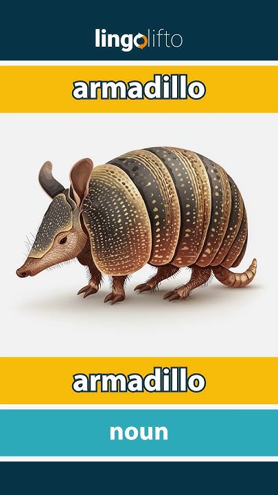 🇬🇧🇹🇷 armadillo - armadillo : learn English : İngilizce öğrenelim ...