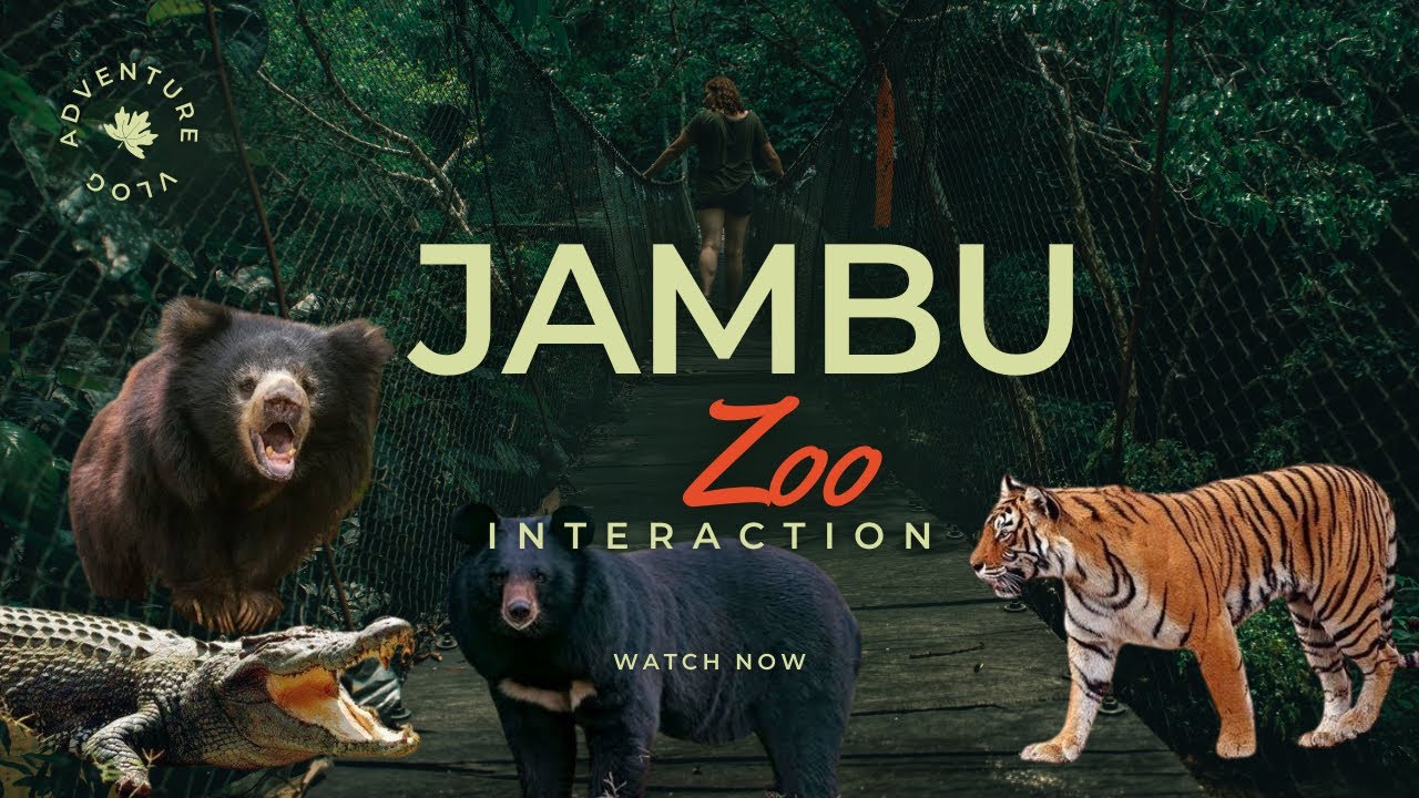 Jambu Zoo JK UT| Largest Zoo of North India| Royal Bengal Tiger ...