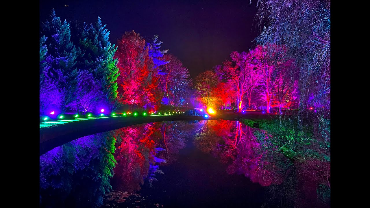 MSV Garden Lights 2024 - YouTube