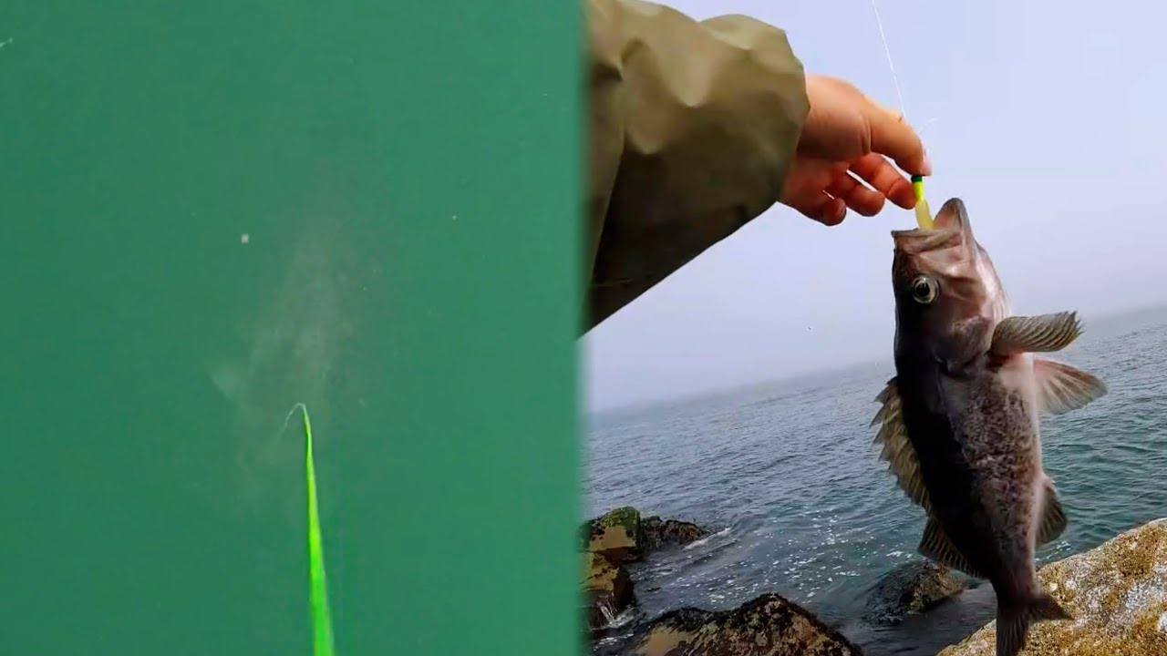 Underwater Footage: Jetty Fishing for Black Rockfish | Westport Jetty ...