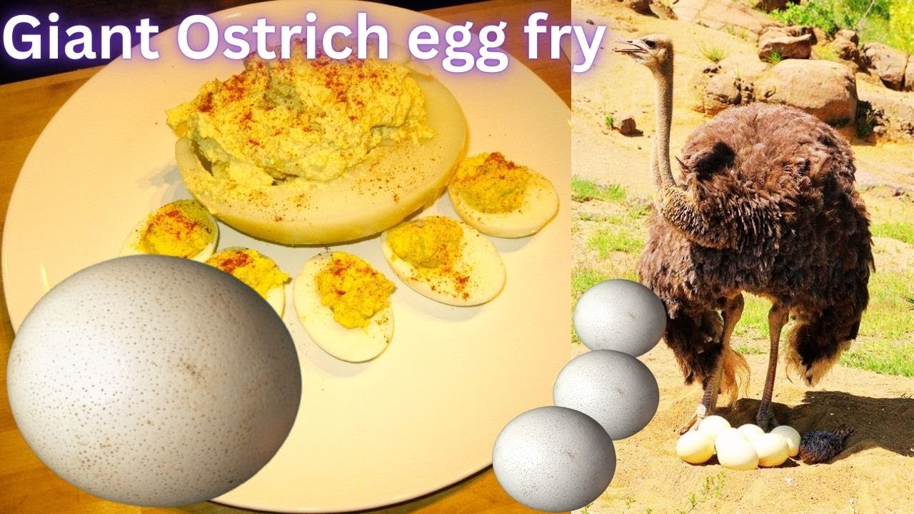 Giant Ostrich Egg Fry Challenge! 🥚🔥 Can We Finish This MASSIVE ...