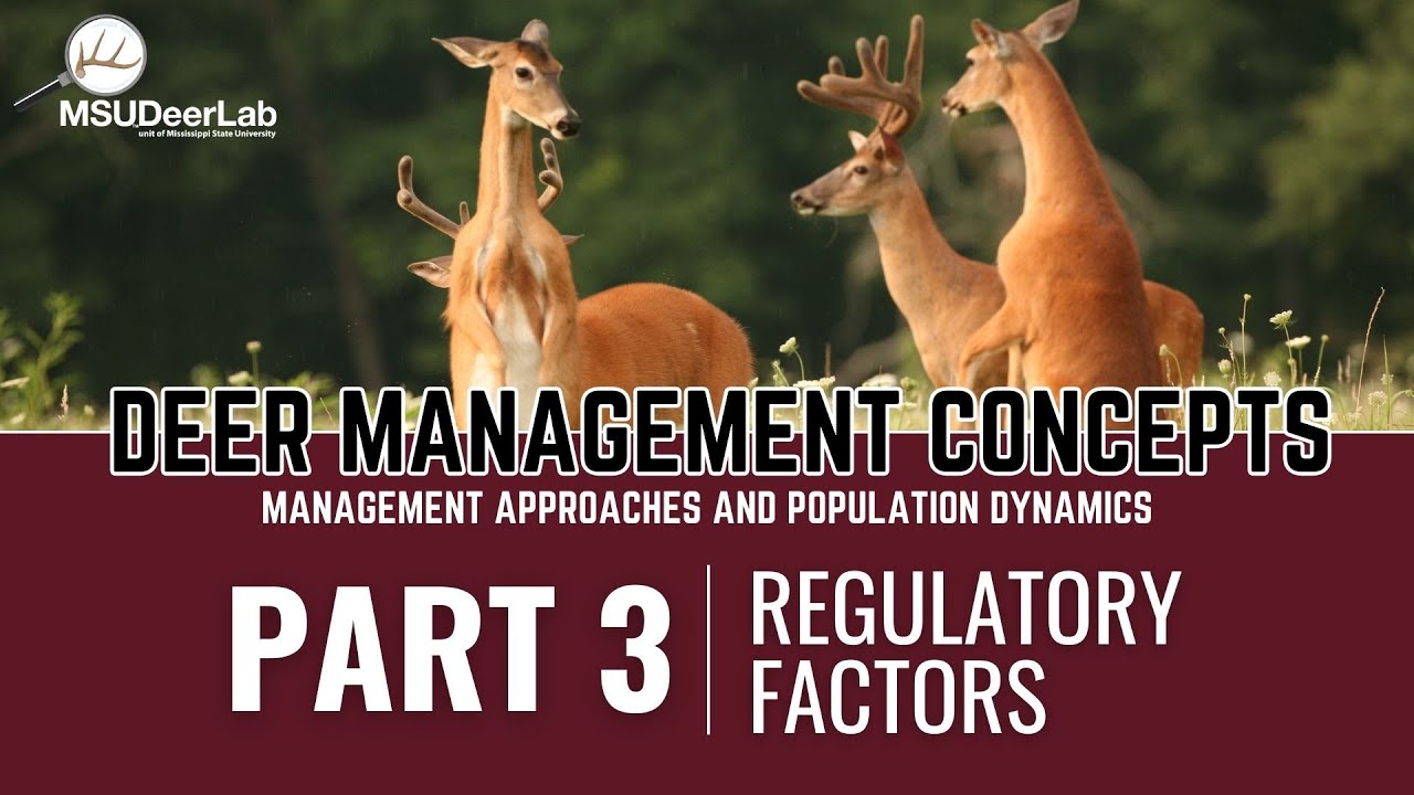 Deer Management Concepts: Management Approaches and Population Dynamics ...