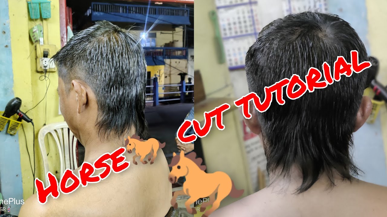 Horse🐎 Cut tutorial💈 - YouTube