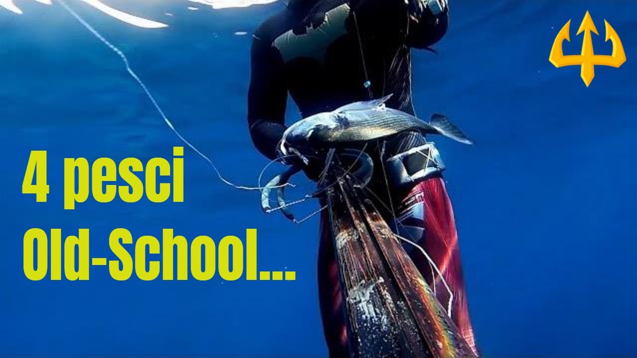 Pesca sub : 🔱4 pesci Old-School. (Spearfishing Sardegna) - YouTube
