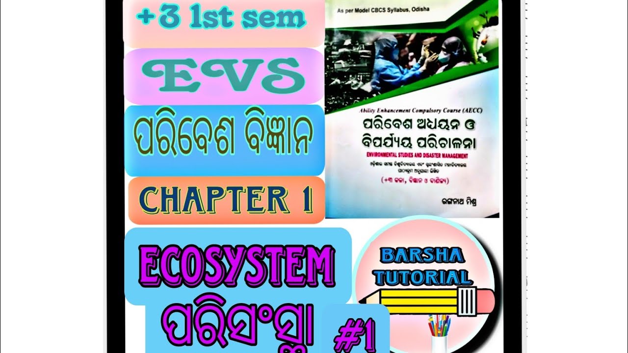 +3 1st sem//EVS compulsory subject//ecosystem. - YouTube