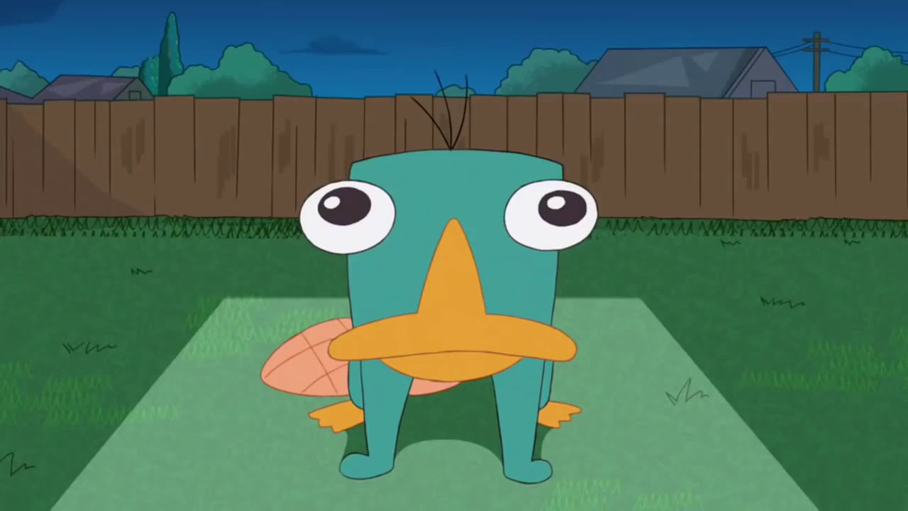 Perry the Platypus Being a Mood for 4 and a Half Minutes Straight Read ...