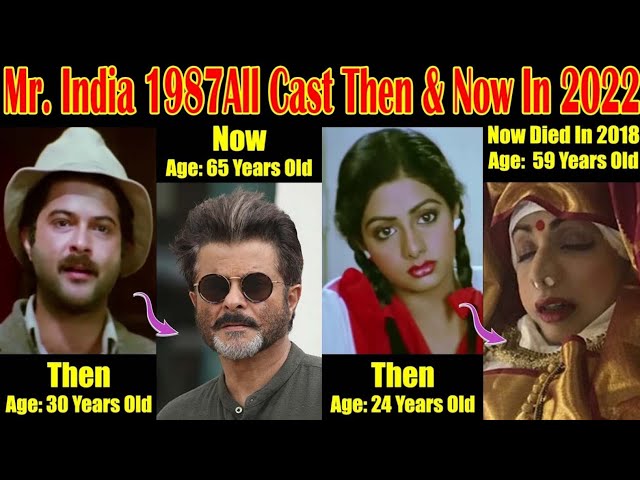 Mr India 1987