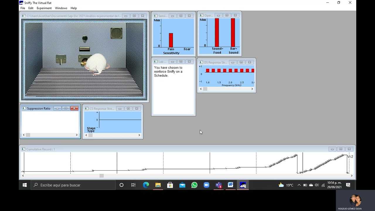Tutorial Práctica 4 Programa de intervalo variable - YouTube