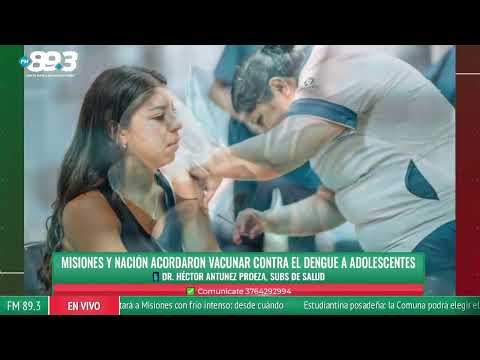 Misiones y Nación acordaron vacunar contra el dengue a adolescentes -Dr ...
