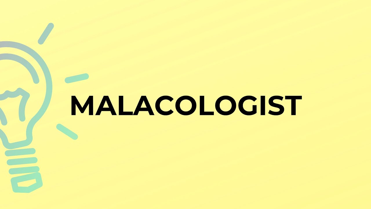What is the meaning of the word MALACOLOGIST? - YouTube