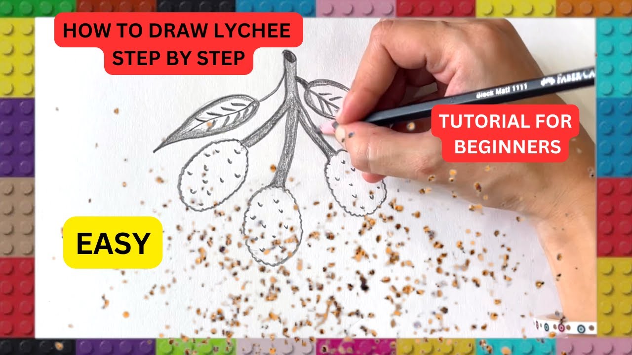 How to draw LYCHEE step by step | Easy Tutorial | Tutorial For ...