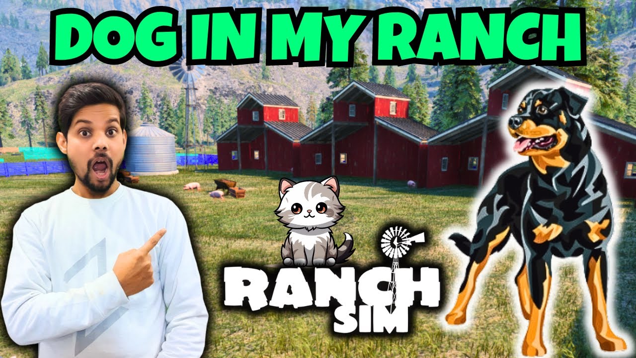 Dogs and Cats are welcome in our Ranch - Ranch Simulator - S2 - EP 32 ...