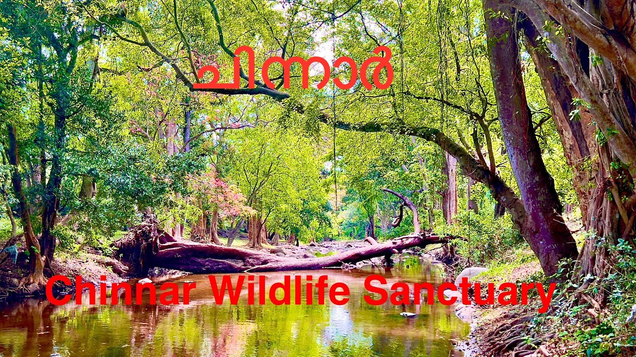 A trip to Chinnar Wildlife Sanctuary | Travelling Bandits Bandits ...