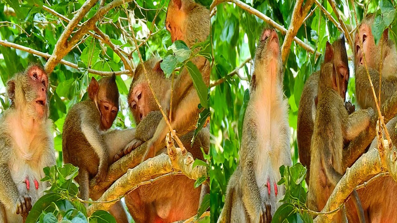 there were many kids are to prefer to drink a Jane's milk because her ...