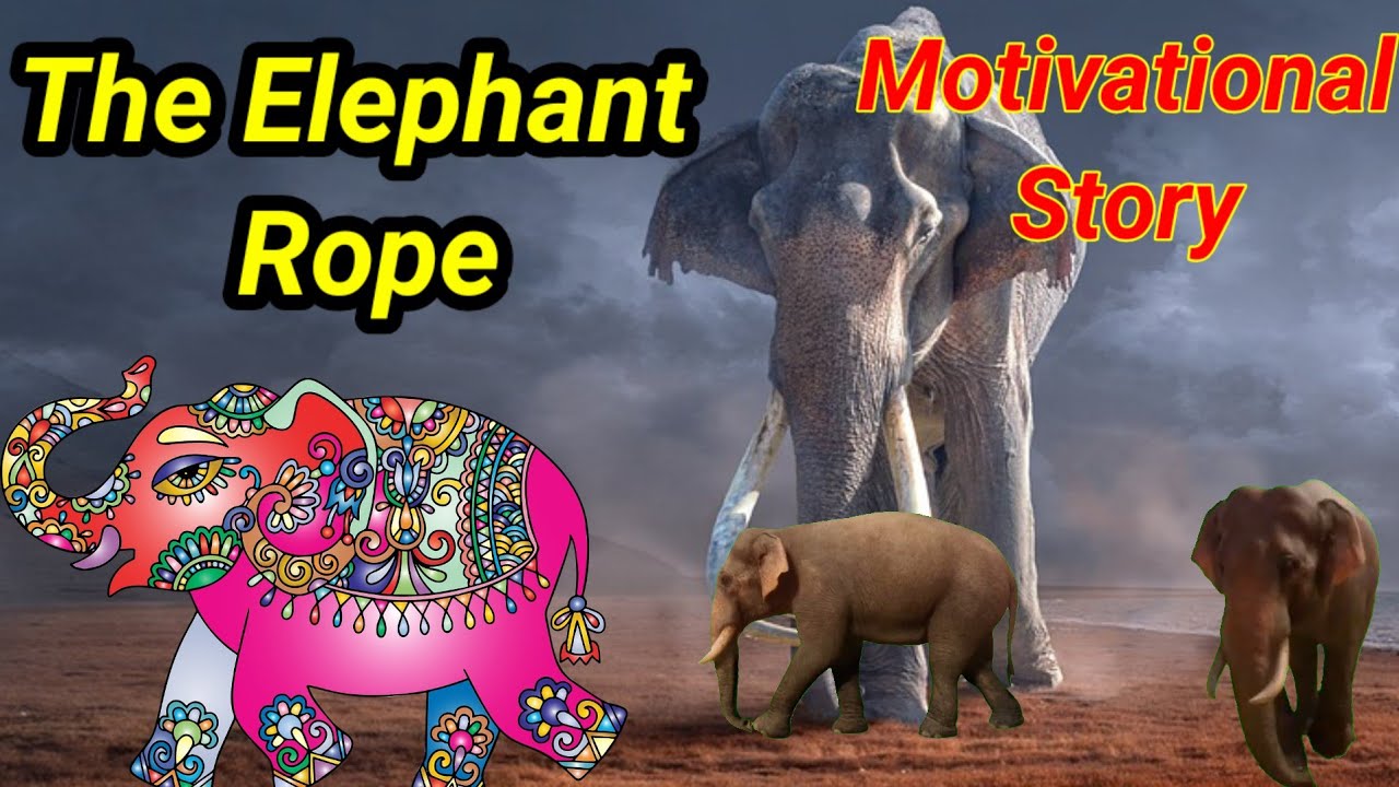 The Elephant Rope English motivational story 2023 best motivational ...