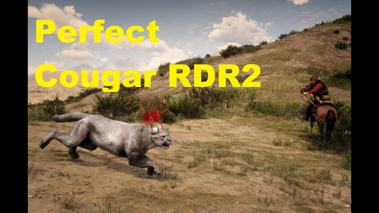 30. Cougar location RDR2 - YouTube