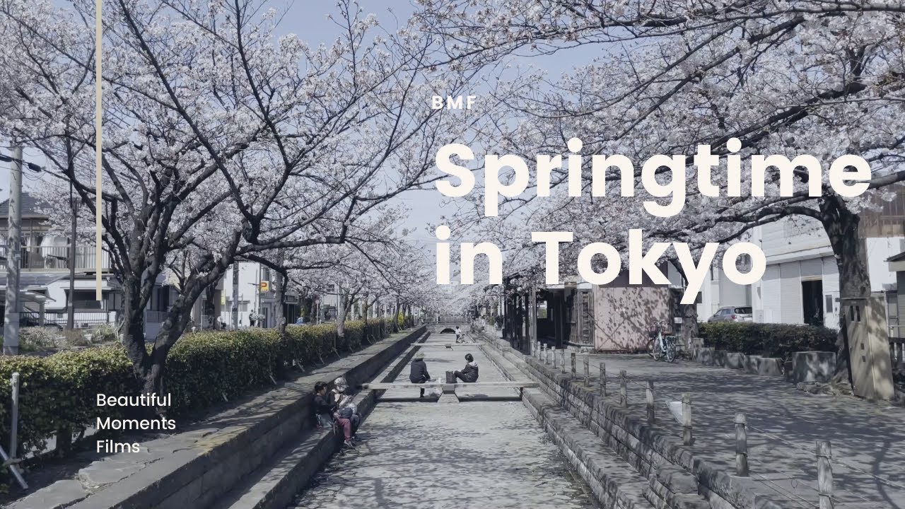 Springtime in Tokyo 春の東京🌸 [ Travel, Trip, Walk, Japan, Tokyo, Vlog ...