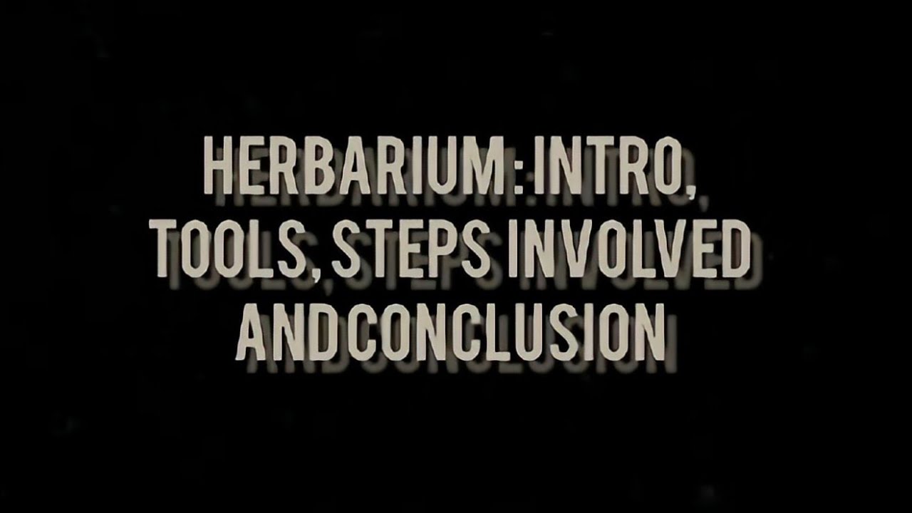 Herbarium : Introduction, Tools, Steps for herbarium specimen ...
