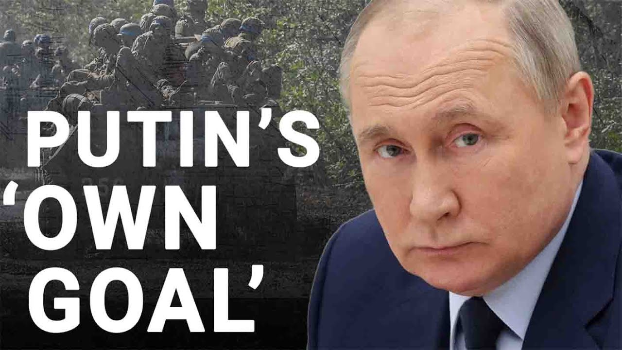 Putin fails to advance as Kharkiv offensive stalls completely | George ...
